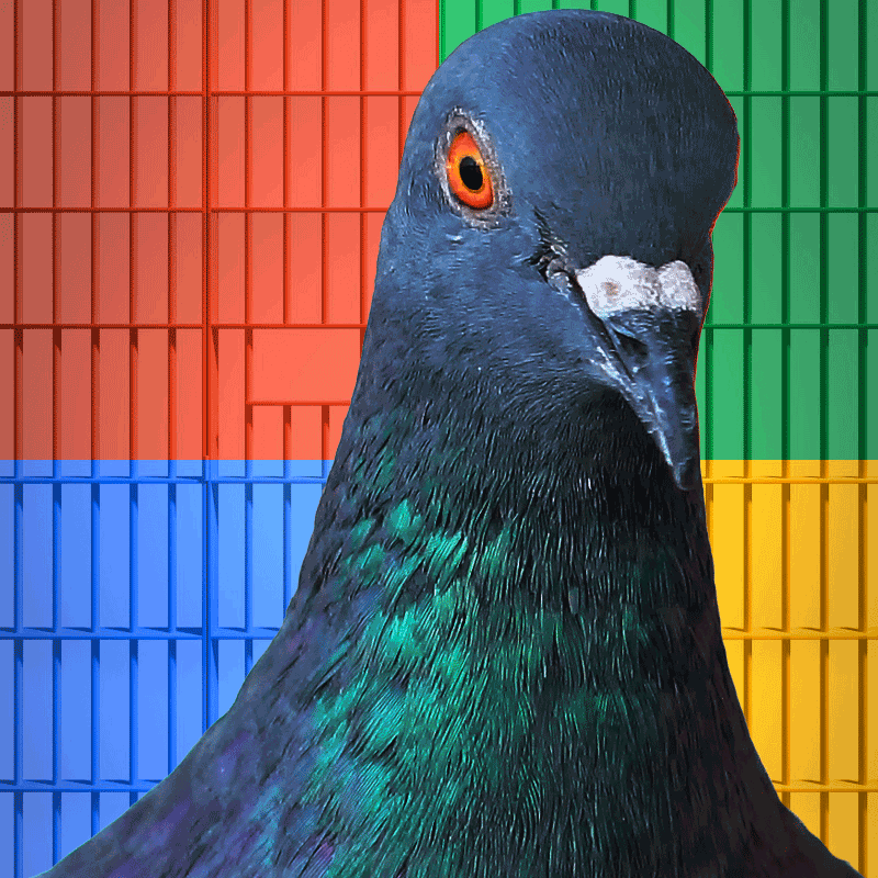 Google Algorithms | Studiodog